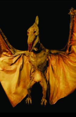 DINO100- Perched Pterodactyl ⋆ Scare Factory