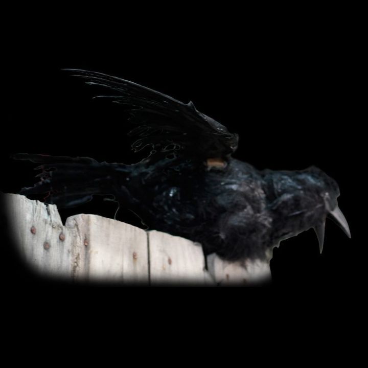 RAV302- Talking Raven with Wing Flap ⋆ Scare Factory